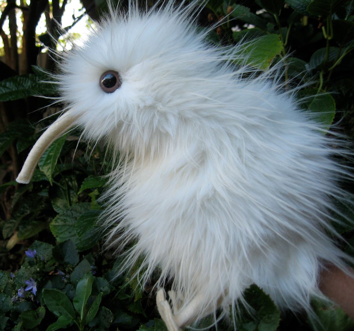 ‘MANUKURA, THE WHITE KIWI' BOOK & PUPPET: White Kiwi Hand Puppet by Er ...